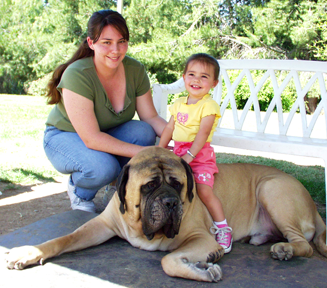 Gentle Giants Rescue and Adoptions